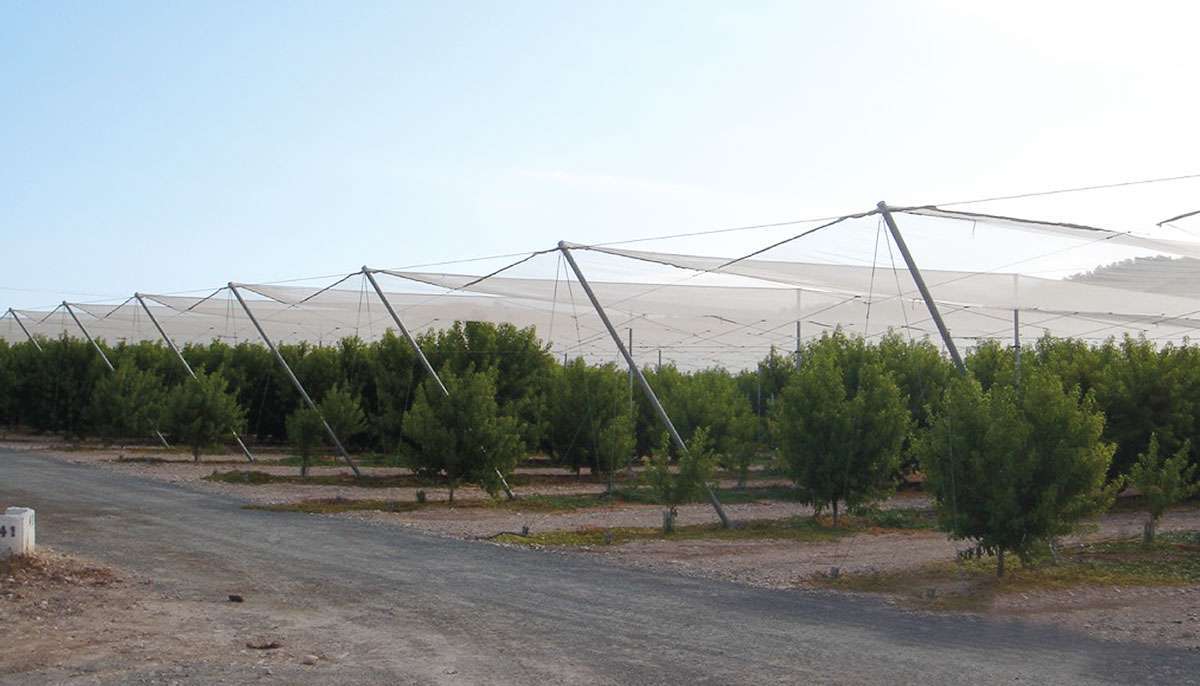 Hail Protection – Condepols